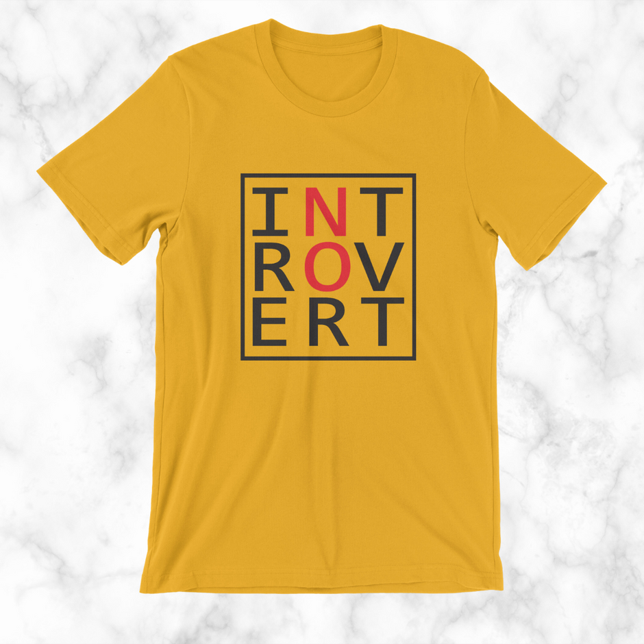 Introvert Statement Tees and Hoodies – Sincerely, An Introvert